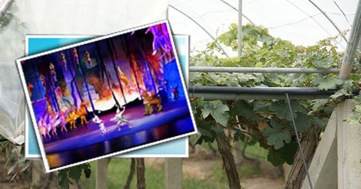 Du lịch Thái Lan thăm vườn trái cây Supatra Land