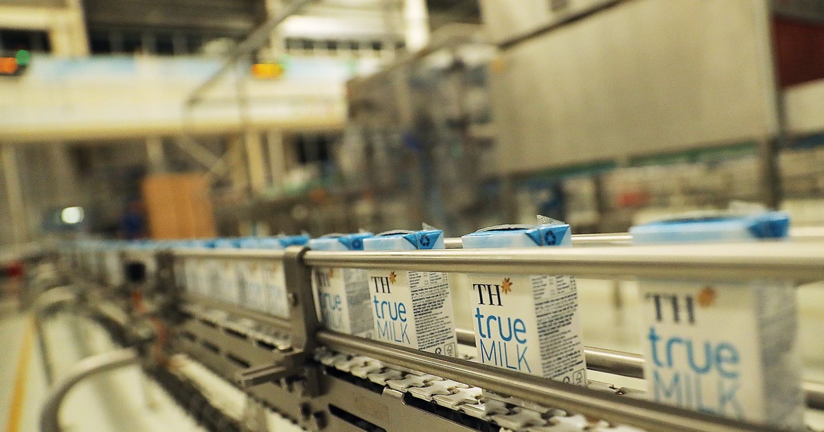 ‎TH true MILK với quy trình vắt sữa khép kín hoàn hảo